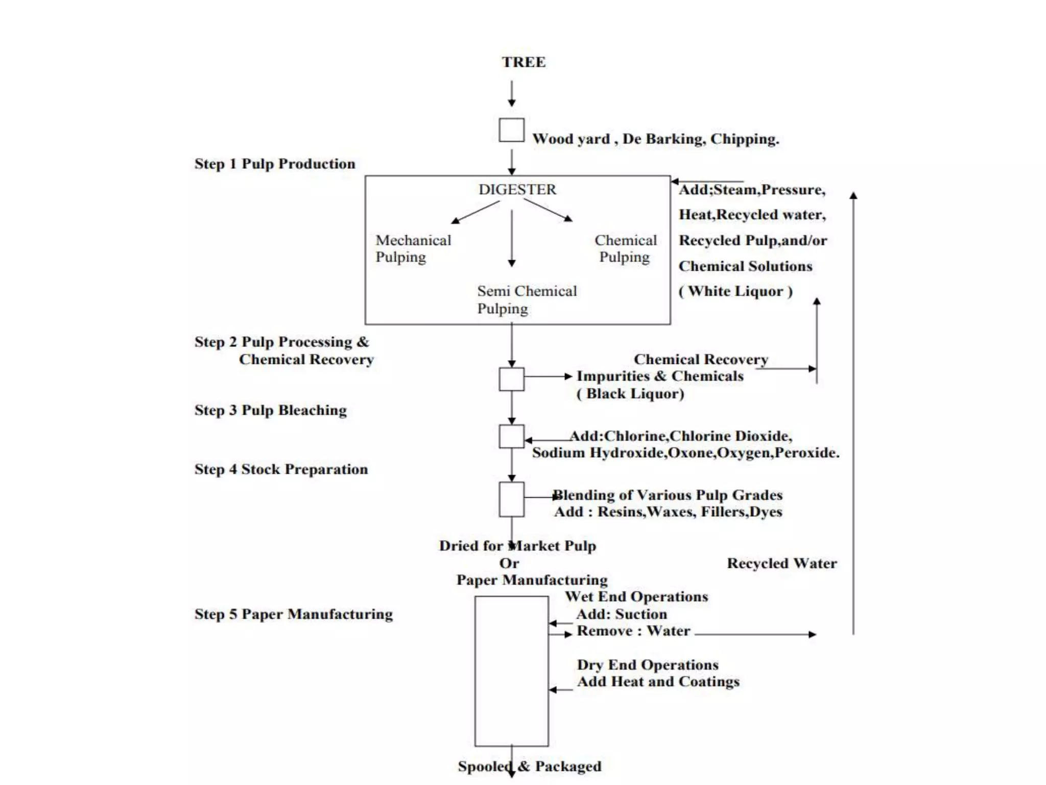 Pulp and Paper making (2).pptx