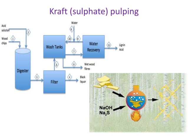 Pulp and Paper making (2).pptx