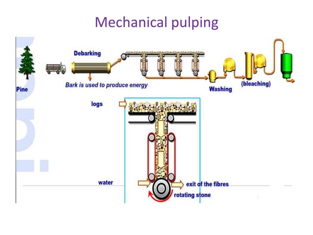 Pulp and Paper making (2).pptx