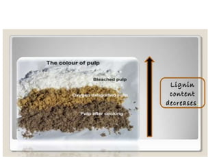 Pulp and Paper making (2).pptx
