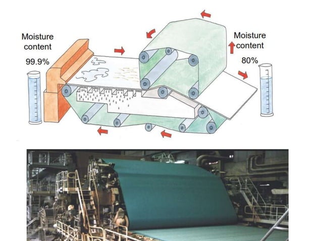Pulp and Paper making (2).pptx