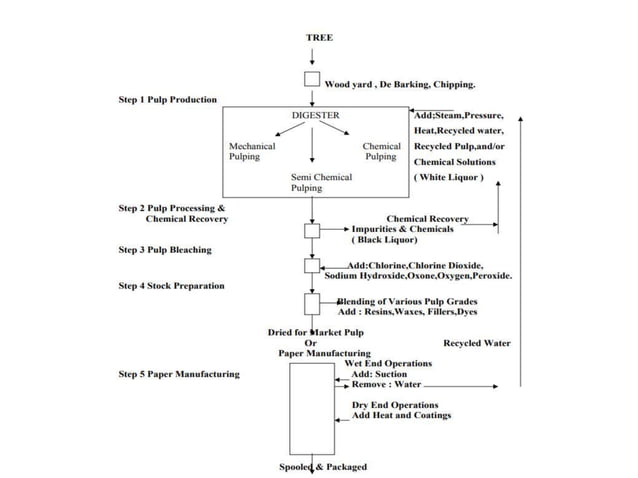 Pulp and Paper making (2).pptx