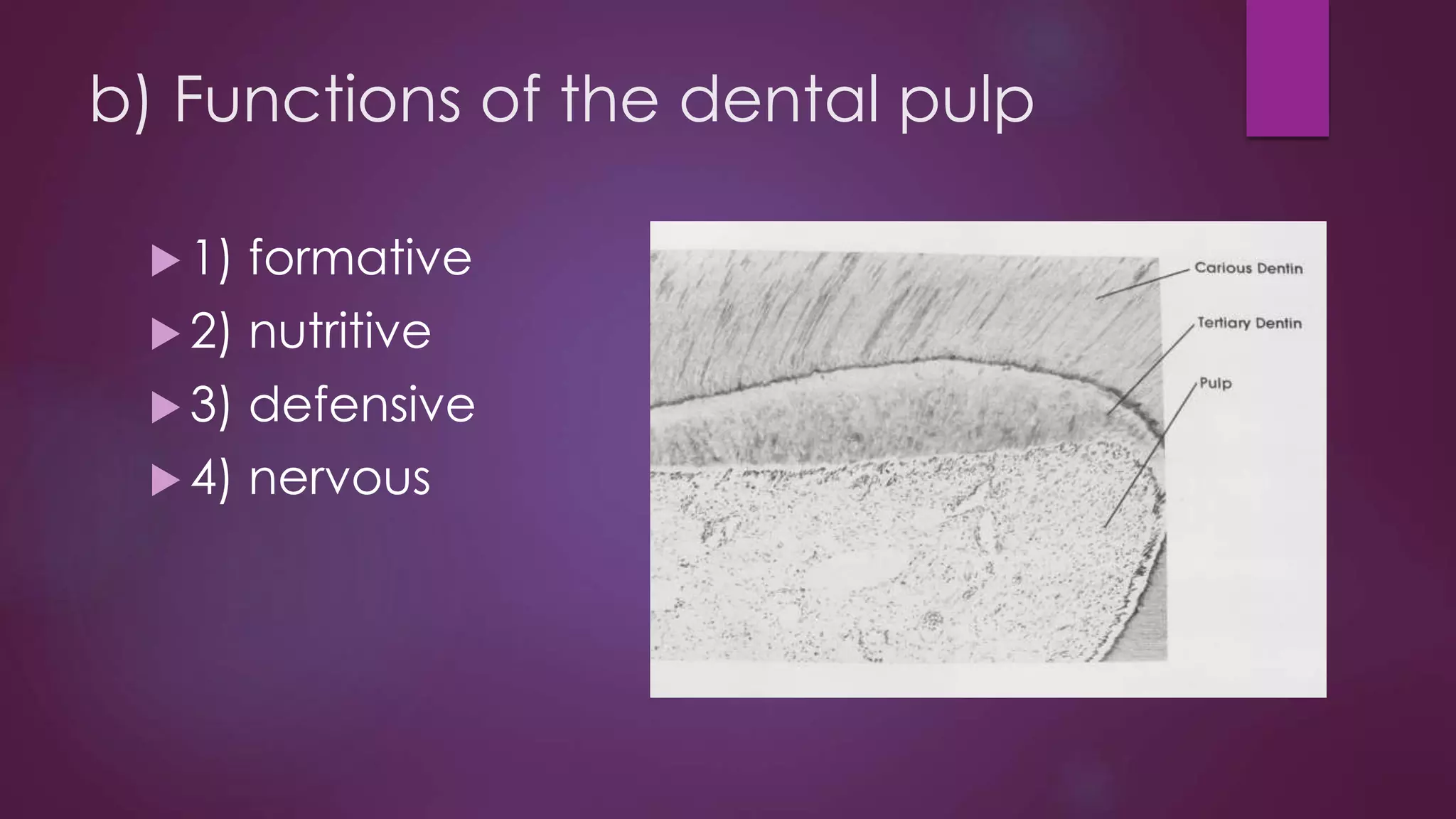 Pulp and periapical disease | PPTX