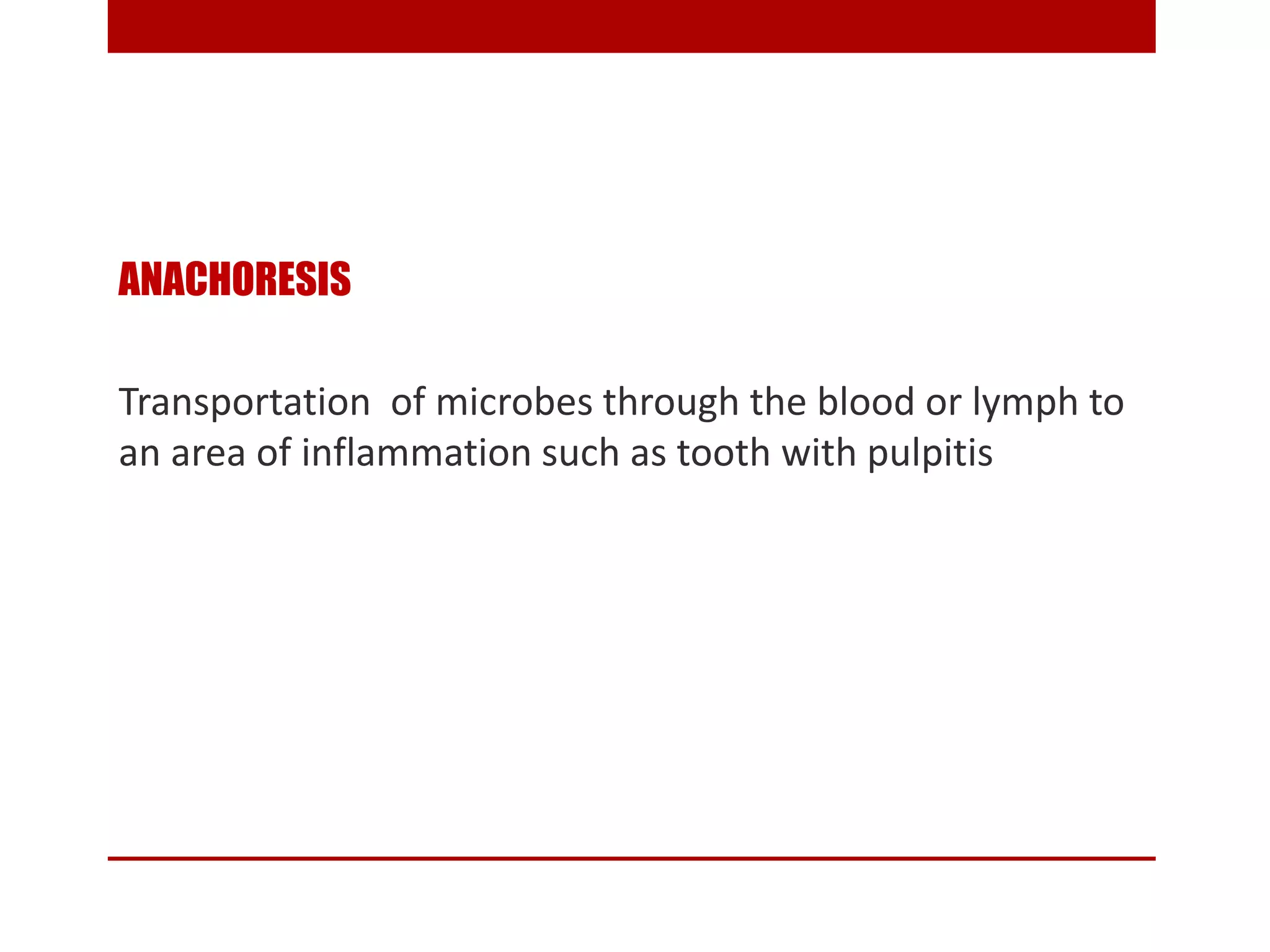 PULP AND PERIAPICAL LESIONS OF THE TOOTH ppt | PPTX