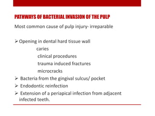 PULP AND PERIAPICAL LESIONS OF THE TOOTH ppt | PPTX