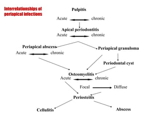 PULP AND PERIAPICAL LESIONS OF THE TOOTH ppt | PPTX