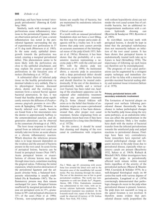 Pulpa y perio | PDF