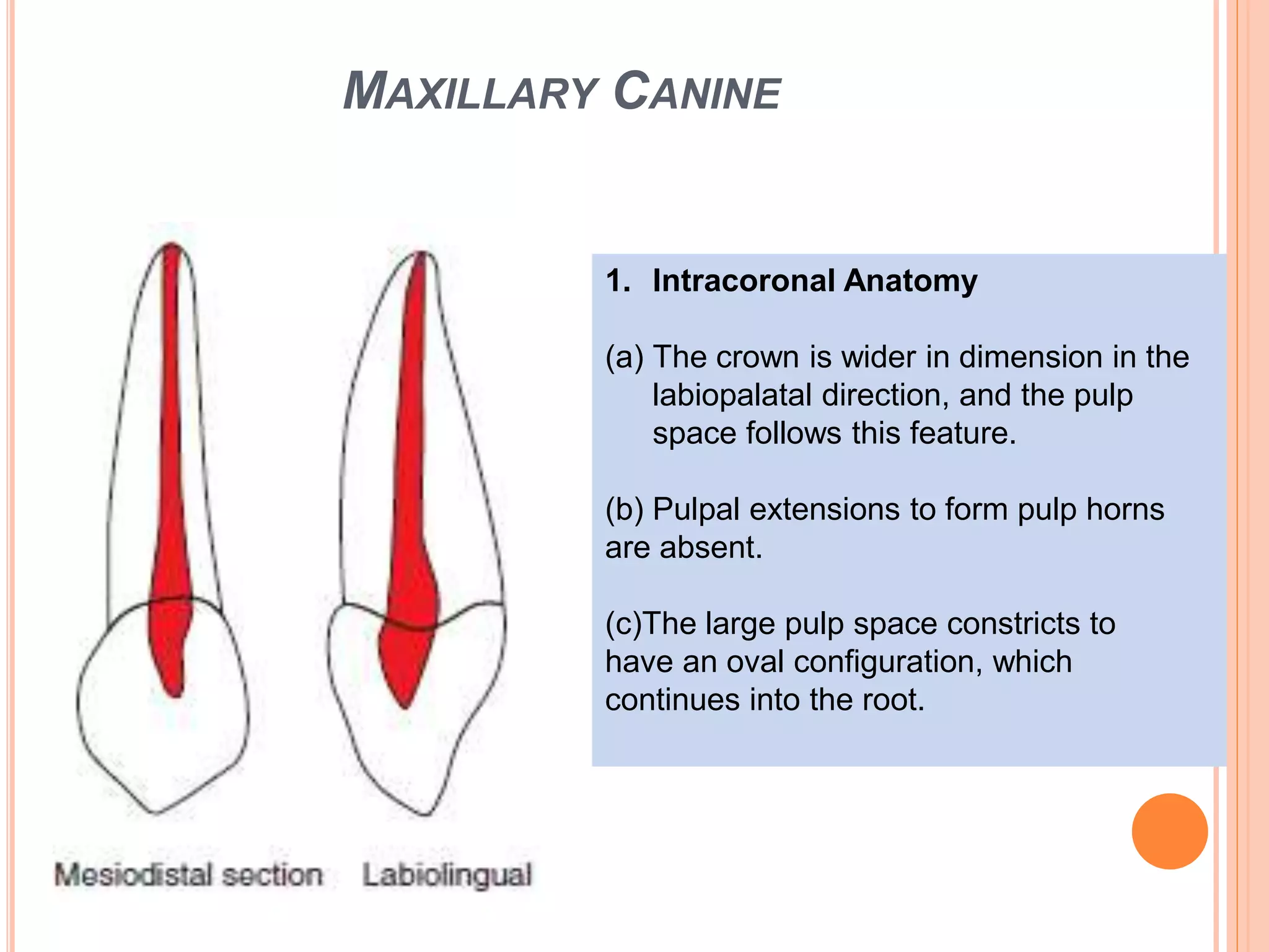 Pulp cavities | PPTX