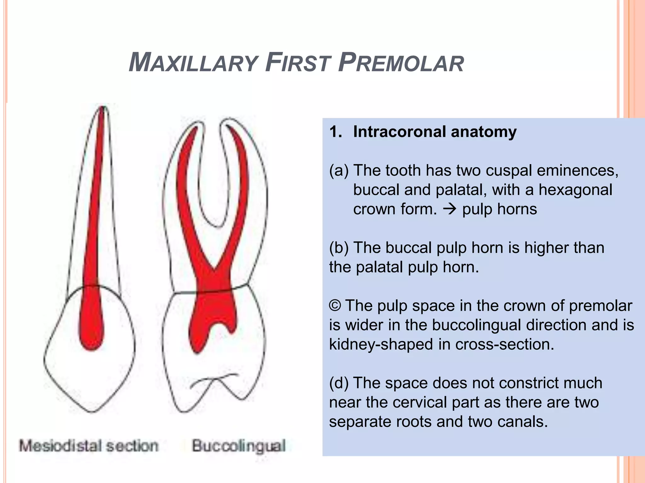 Pulp cavities | PPTX