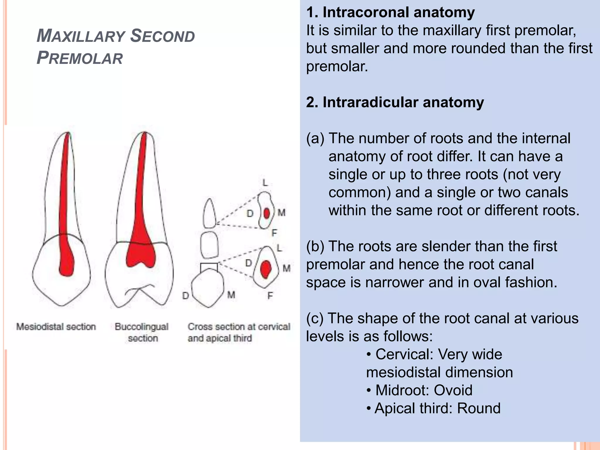Pulp cavities | PPTX