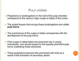 Pulp cavities | PPTX