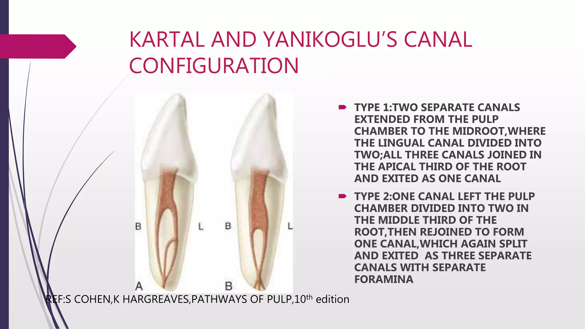 Pulp cavities of teeth | PPTX | Dental Health | Diseases and Conditions