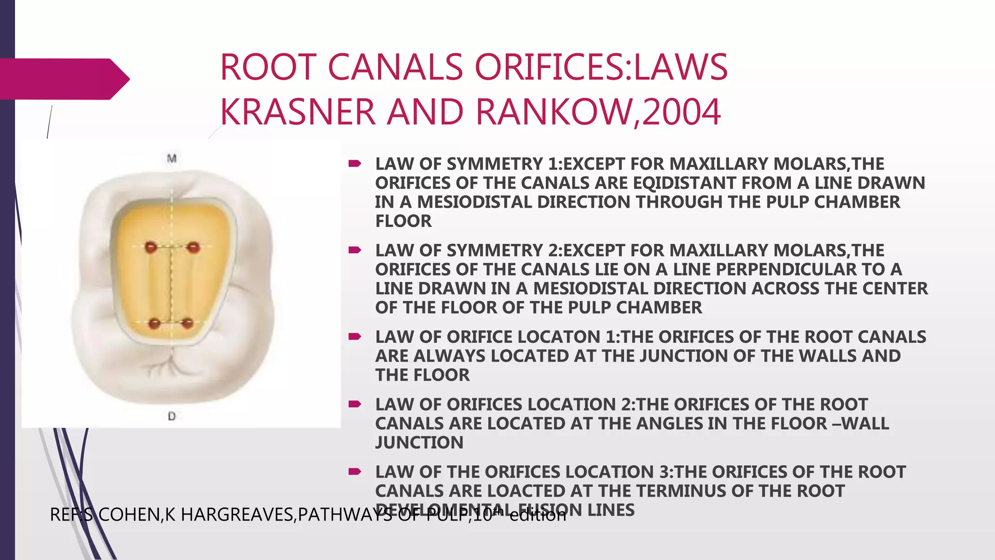 Pulp cavities of teeth | PPTX | Dental Health | Diseases and Conditions