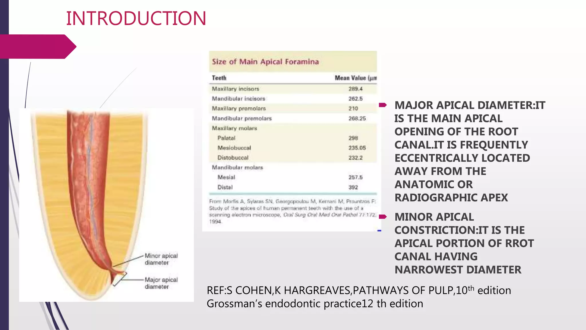 Pulp cavities of teeth | PPTX | Dental Health | Diseases and Conditions