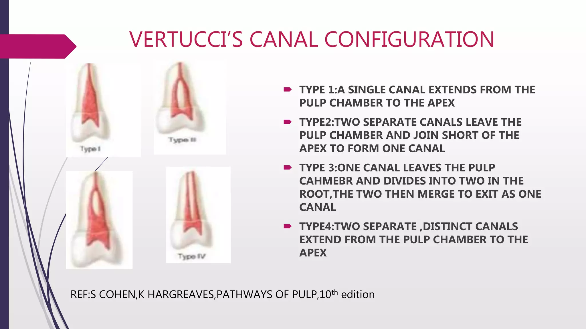 Pulp cavities of teeth | PPTX | Dental Health | Diseases and Conditions