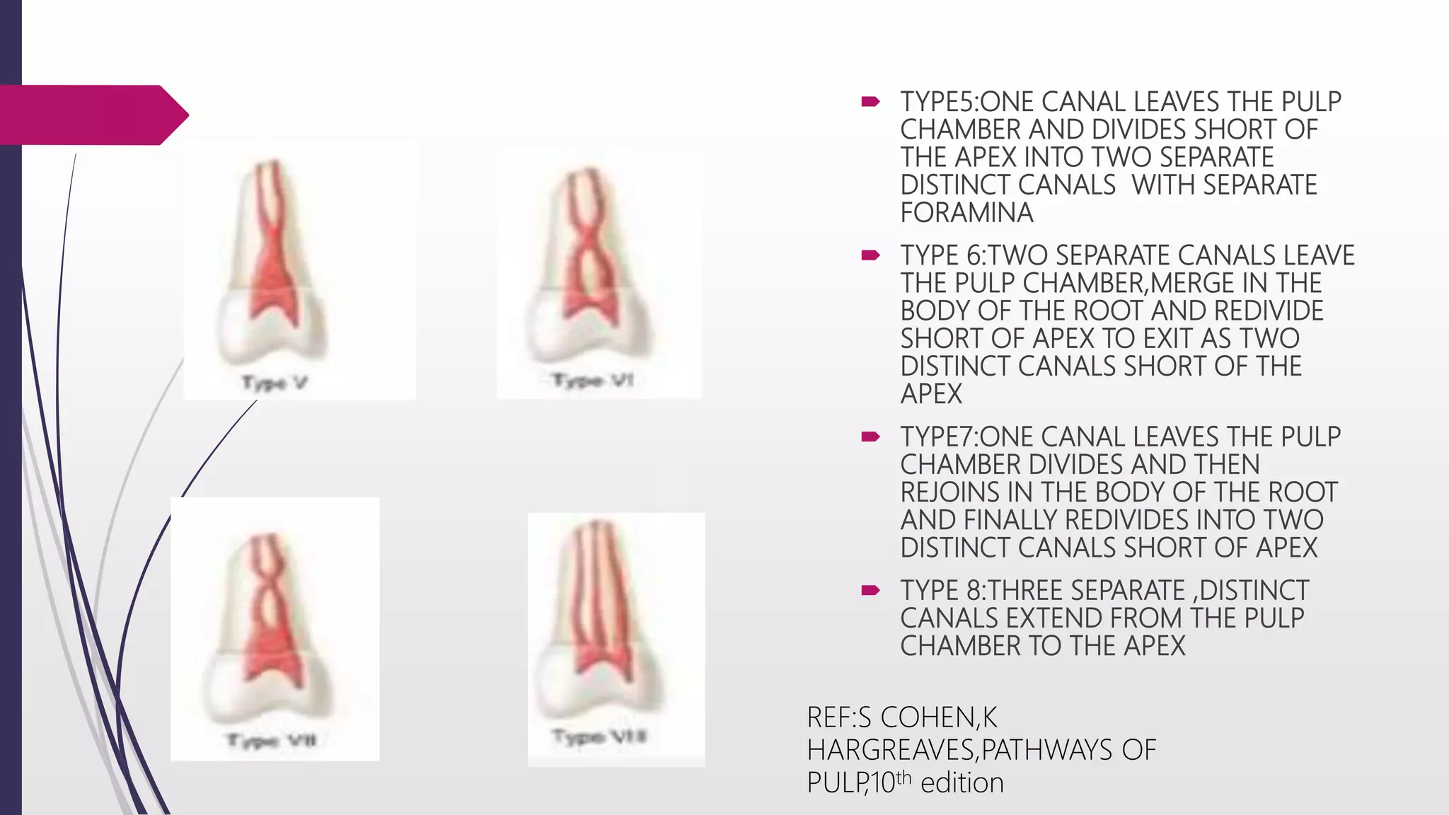 Pulp cavities of teeth | PPTX | Dental Health | Diseases and Conditions