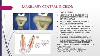 Pulp cavities of teeth | PPTX