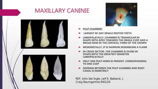 Pulp cavities of teeth | PPTX