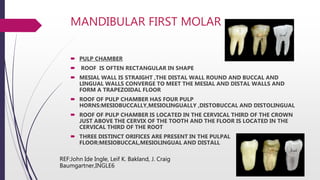 Pulp cavities of teeth | PPTX