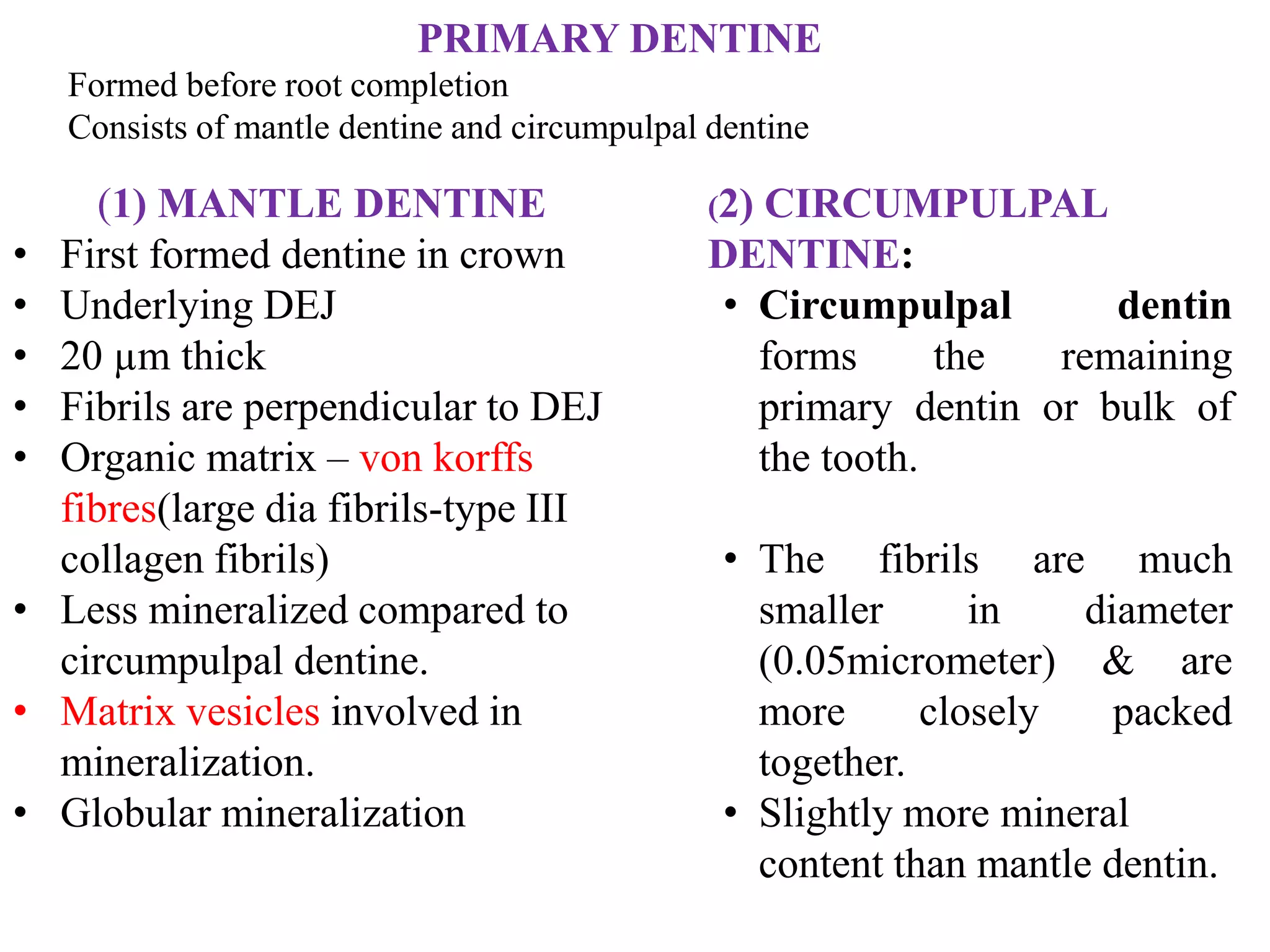 Pulp dentin complex | PPTX