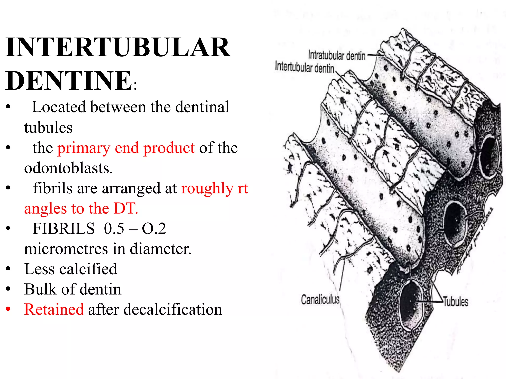 Pulp dentin complex | PPTX