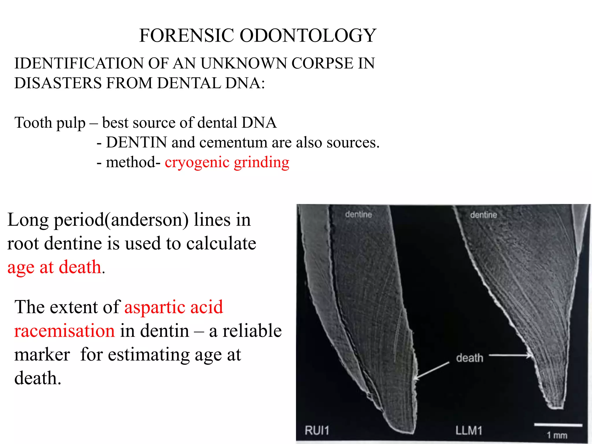 Pulp dentin complex | PPTX