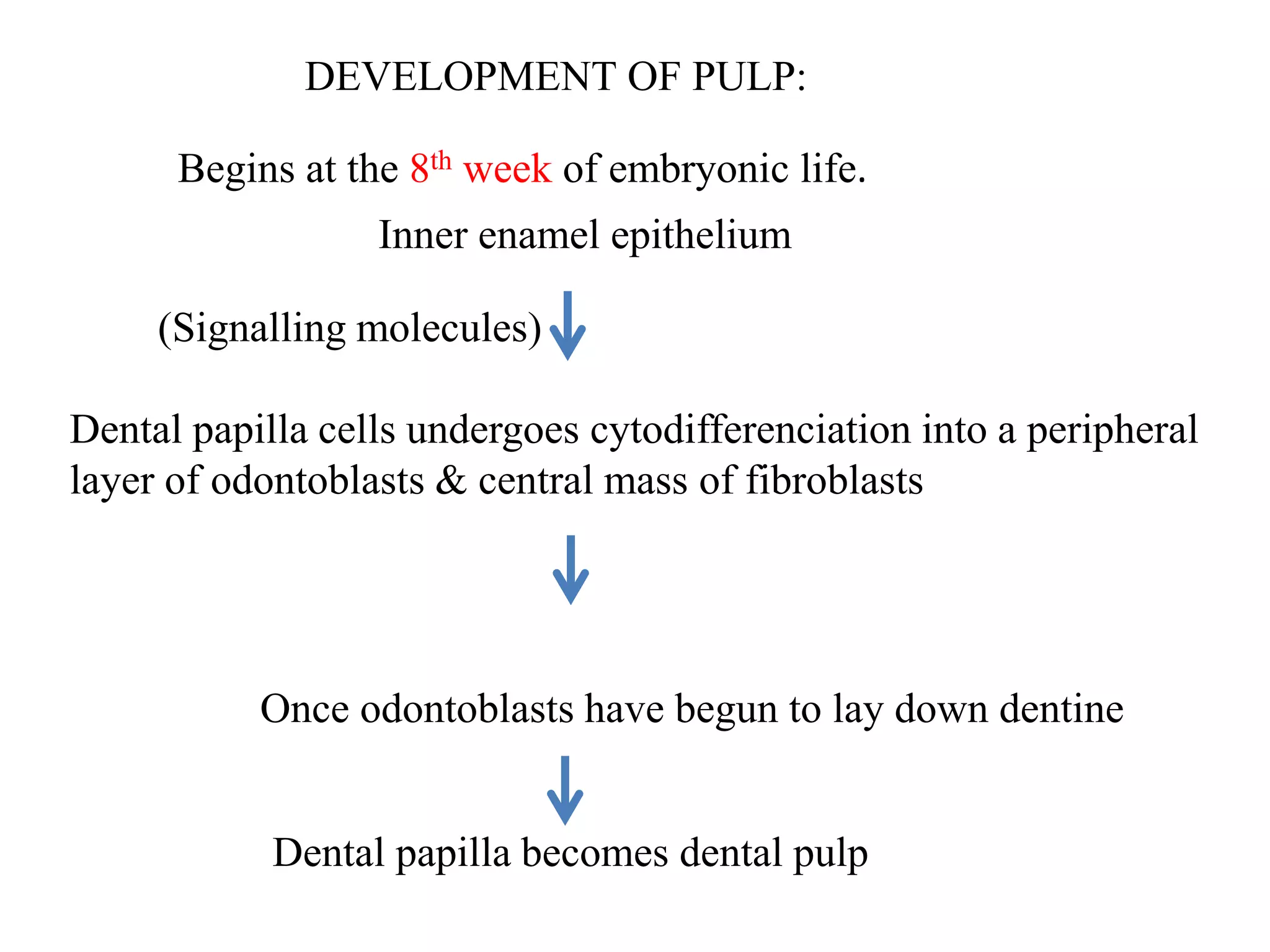 Pulp dentin complex | PPTX