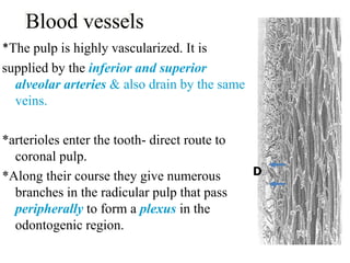 Pulp dentin complex | PPTX