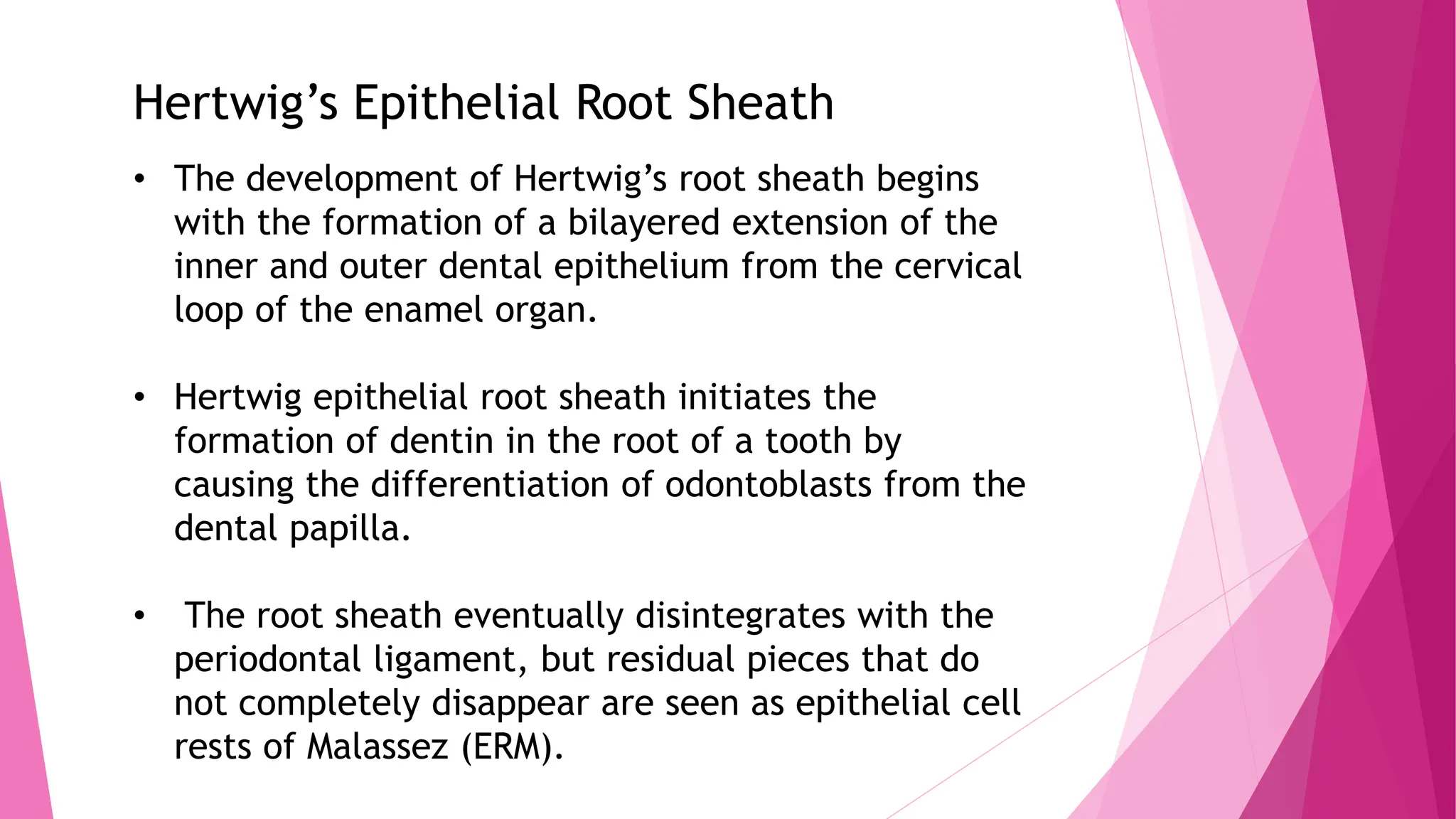 An overview on the Pulp Dentin Complex .pptx