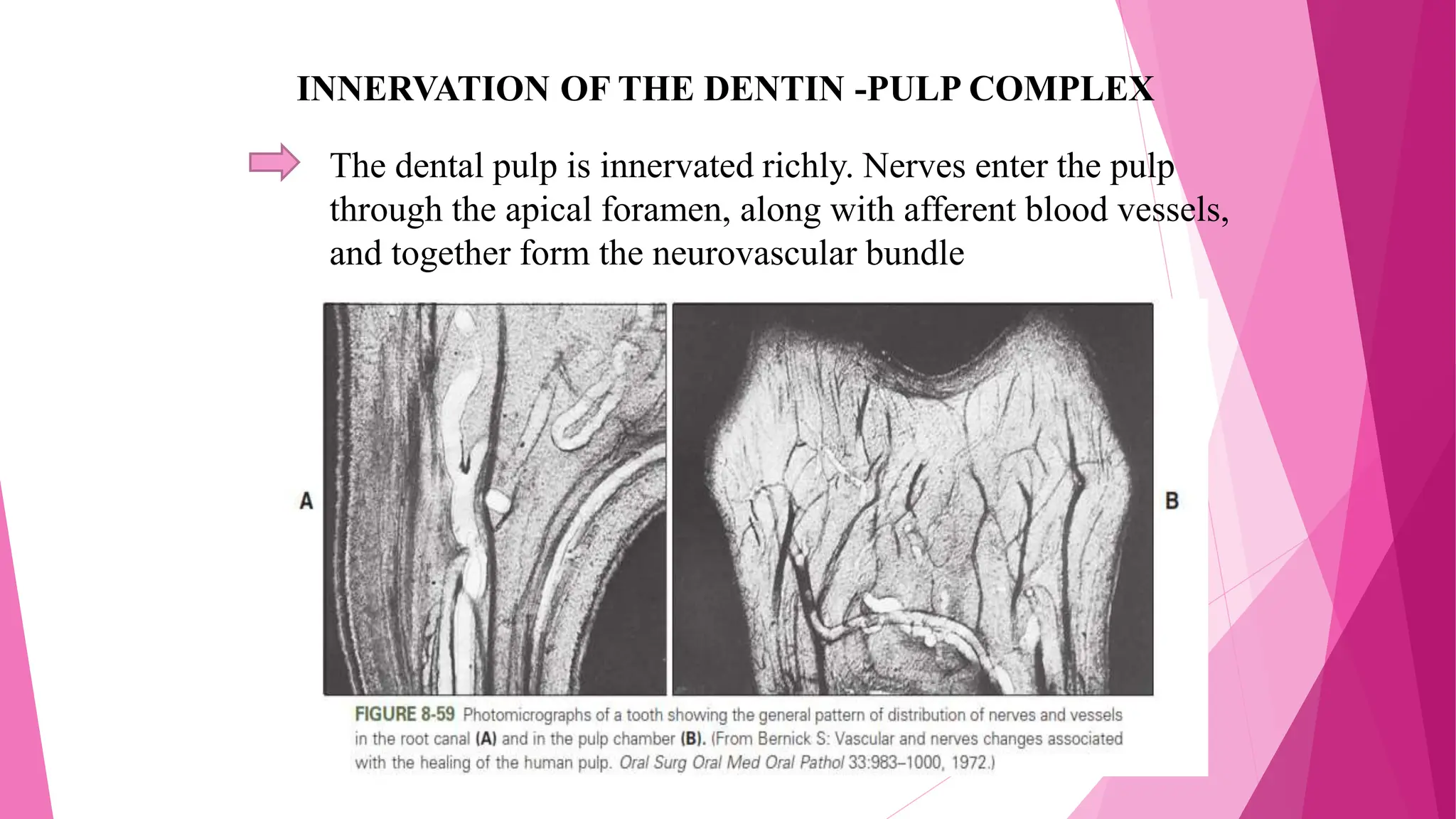 An overview on the Pulp Dentin Complex .pptx