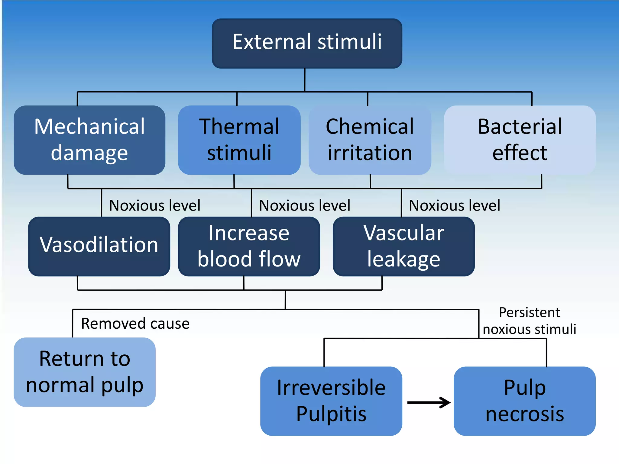 Pulp diseases | PPTX