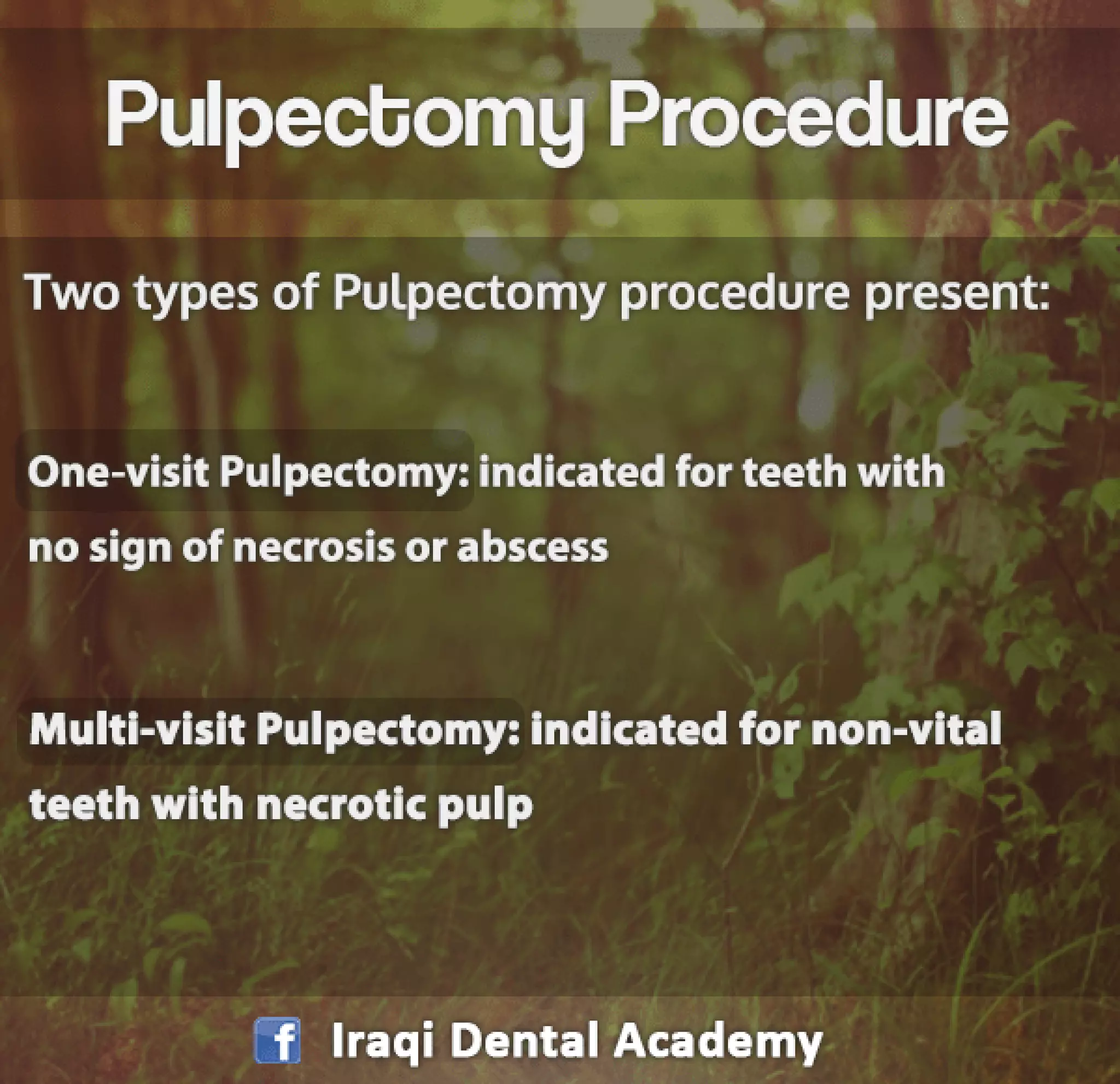 Pulpectomy Procedure Explained in brief | PDF