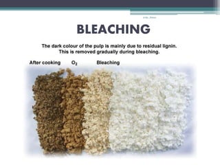 Pulping Technology | PPTX