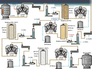 Pulping Technology | PPTX