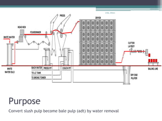 Pulping Technology | PPTX