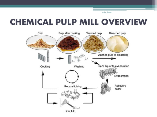 Pulping Technology | PPTX