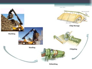 Pulping Technology | PPTX