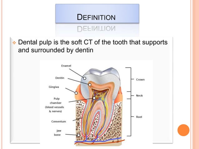 Pulpitis | PPTX | Dental Health | Diseases and Conditions
