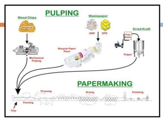Pulp & kertas | PPTX