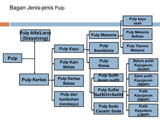 Pulp & kertas | PPTX
