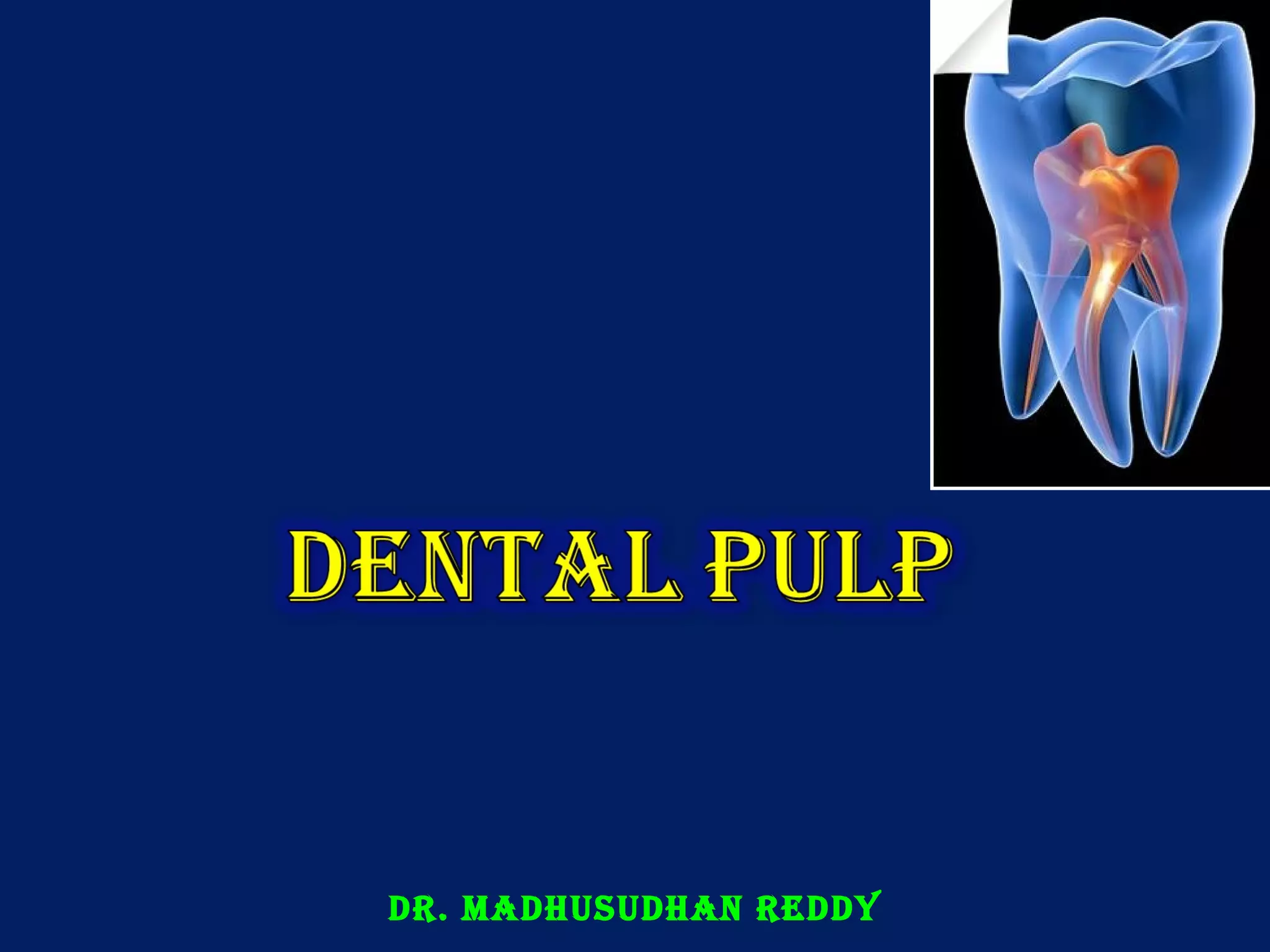 Dental Pulp | PPT