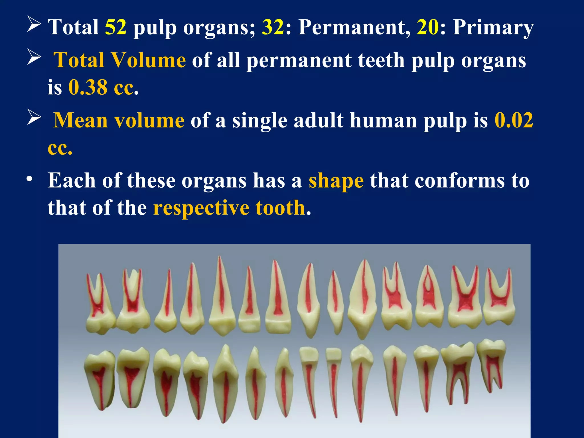 Dental Pulp | PPT