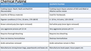 PULP MAKING PROCESS.pptx