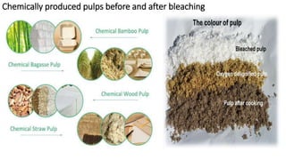 PULP MAKING PROCESS.pptx