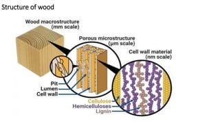 PULP MAKING PROCESS.pptx
