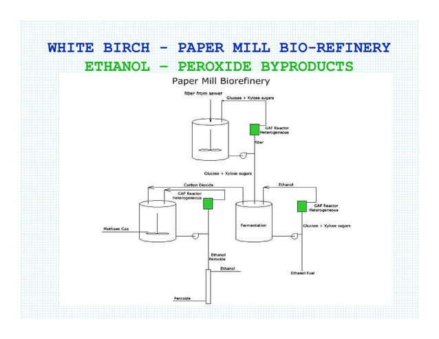 Pulp Mill Sludge Ethanol Project[1] | PDF