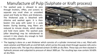 Pulp & Paper industries With Sample Q.pdf