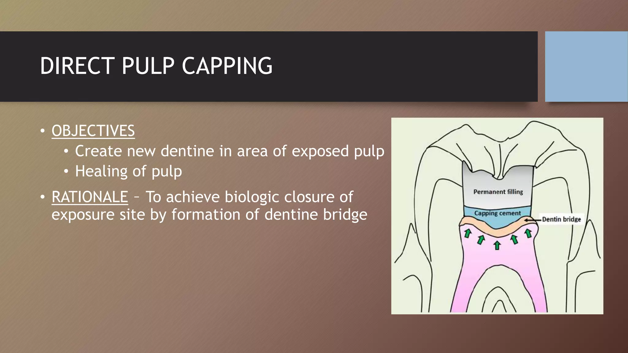 Pulp protection | PPTX