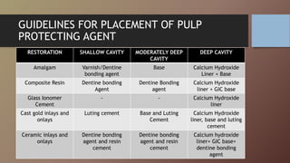 Pulp protection | PPTX