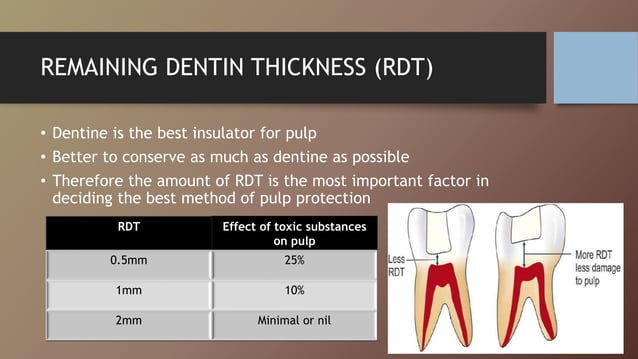 Pulp protection | PPTX